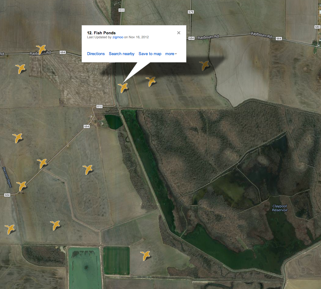 Teal on Our Fish Ponds | threeriversduckclub.com